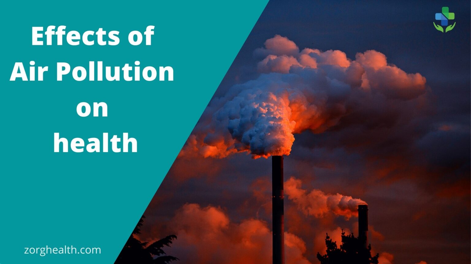 Effects of air pollution on health - Zorg Health