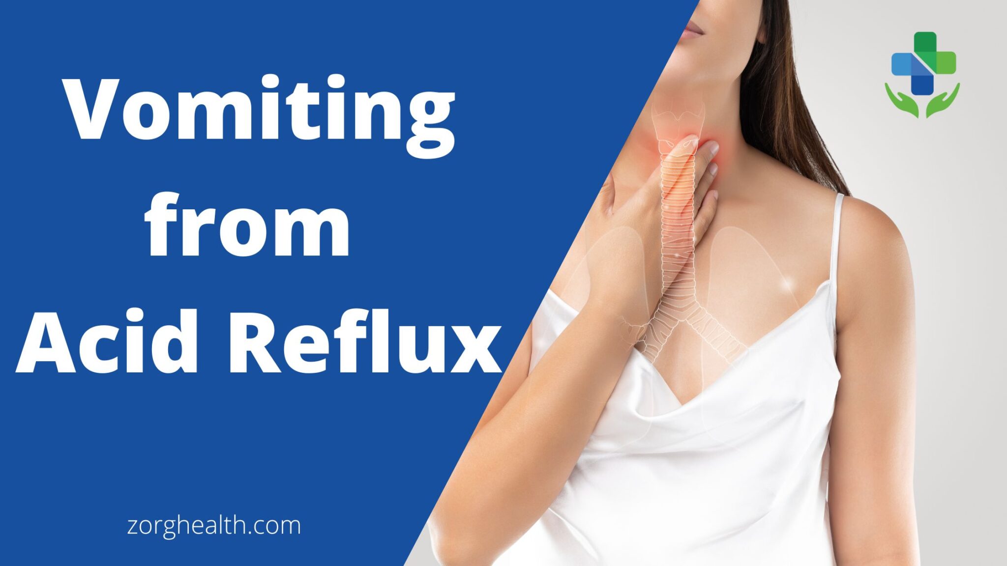 Vomiting from acid reflux - Zorg Health