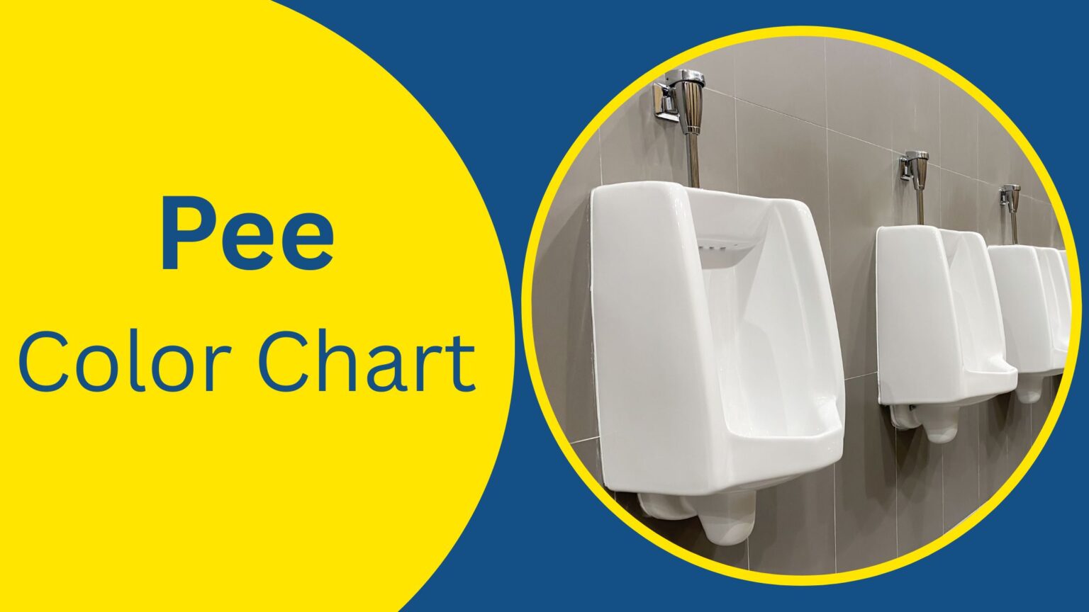 Understanding the Pee Color Chart - Zorg Health
